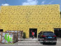 China Custom Art Patterns Aluminum Perforated Panel with Powder Coated Surface in 1000x2000mm for Building Facade for sale