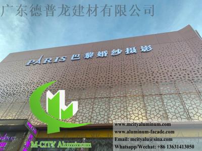 China CNC Punching Perforated Aluminum Panel with PVDF Durable Coating for Customizable Facade Designs for sale