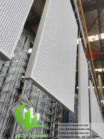 China PVDF Coated Perforated Aluminum Facade Panel with Customizable Patterns in 1000x2000mm Size for sale