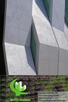 China 1000x2000mm Powder Coated Perforated Aluminum Facade Panel with Customizable RAL Colors for Building Cladding for sale