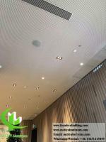 China Anti Rust Powder Coated Perforated Aluminum Panel for Customizable Facade Cladding and Wall Decoration for sale