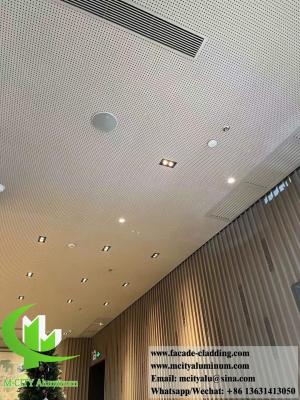 China Anti Rust Powder Coated Perforated Aluminum Panel for Customizable Facade Cladding and Wall Decoration for sale