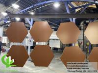 China Hexagon Design Aluminum Wall Panel for Facade Cladding with 2mm Thickness and Powder Coated Finish for sale