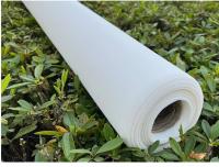 China 100g/m2 Mosquito Screen Roll Fireproof Insect Screen Roll White for sale