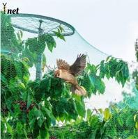 China 7GSM Bird Proof Net Green Bird Proof Netting For Fruit Trees for sale