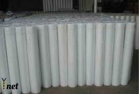 China 50g 60g 80g 120g 160g Self Adhesive Fiberglass Mesh 50m Fiberglass Wall Mesh for sale