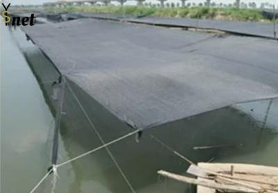 China Customized Black Greenhouse Mesh Anti Aging Mesh Shade Cloth 100GSM for sale
