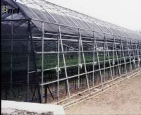 China 85% Greenhouse Shade Cloth Black Garden Shade Netting 2*100m 4*50m 6*50m 8*50m for sale