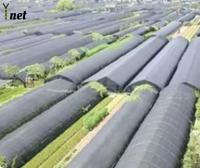 China Anti UV Sun Shade Net 50GSM - 350GSM Greenhouse Shading Mesh For Crops for sale