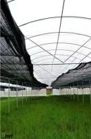 China Agricultural Sun Shade Net 1m - 15m Width HDPE Fabric Shade for sale