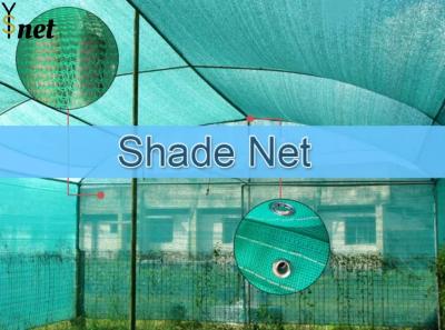 China UV Treated Greenhouse Shade Net Agricultural Aluminum Foil Shade Net Green for sale