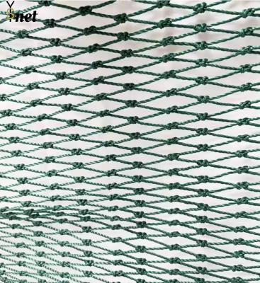 China High Strength HDPE Green Multifilament Pe Fish Net Twist Knotted Polyethylene Fishing Net for sale