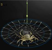 China Customized Crab Net Bait Cage Foldable Crab Catching Cage For Ultimate Catch for sale