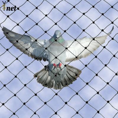 China Rot Proof Bird Deterrent Mesh 3/4