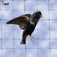 China Flame Resistant Bird Proof Net Non Conductive Pigeon Safety Nets 1-1/8