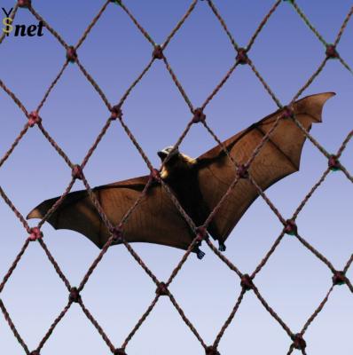 China Polyethylene Bat Exclusion Netting Black Heavy Duty Bird Mesh UV Resistant for sale