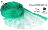 China Green Nylon Anti Bird Net UV Resistant Netting For Crops And Gardens for sale