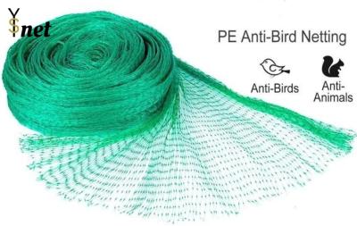 China Green Nylon Anti Bird Net UV Resistant Netting For Crops And Gardens for sale