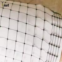 China Black Bird Proof Net 100m 200m 300m 500m Bird Control Mesh For Garden for sale