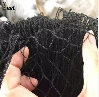 China Anti Corrosion Black Anti Bird Netting 1m - 200m Plastic Mesh Bird Netting for sale
