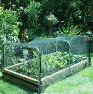 China Sturdy UV Resistant Bird Netting 40M Fruit Tree Bird Netting Customized for sale