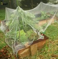 China White Bird Proof Net 5gsm 7gsm 8gsm Apple Orchard Netting for sale