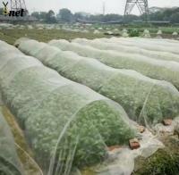 China HDPE Greenhouse Bird Netting 20gsm - 30gsm Insect Netting For Garden for sale