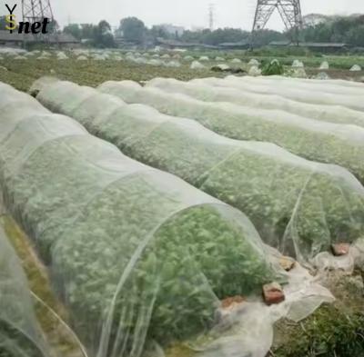 China HDPE Greenhouse Bird Netting 20gsm - 30gsm Insect Netting For Garden for sale
