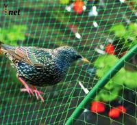 China Green Bird Proof Net 3m / 5m Polyethylene Bird Netting High Durability for sale