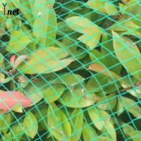 China Customized Plant Protection Netting Green Crop Protection Netting Agricultural for sale