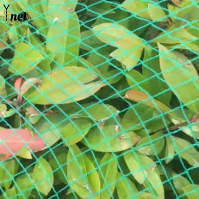 China Customized Plant Protection Netting Green Crop Protection Netting Agricultural for sale