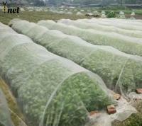 China Insect Proof Nylon Garden Netting Customized Bird Netting For Vegetable Garden for sale