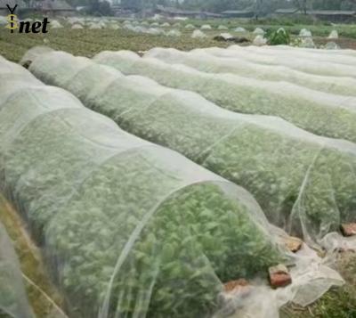 China Insect Proof Nylon Garden Netting Customized Bird Netting For Vegetable Garden for sale