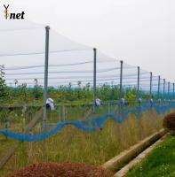 China HDPE Heavy Duty Bird Netting Reusable Anti Bird Net For Agriculture for sale