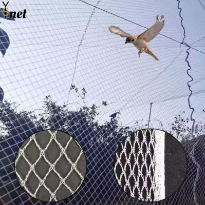 China Agricultural Bird Prevention Netting 5m - 1000m Knitted Bird Netting for sale