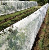 China White Fruit Orchard Netting 10gsm - 60gsm Orchard Bird Netting for sale