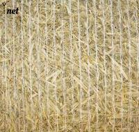 China Customized HDPE Wrap UV Resistant Plastic Net Wrap Biodegradable for sale