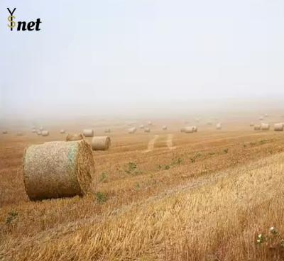 China UV Stability Round Baler Net Wrap Anti Aging Hay Bale Net 1.25X2000m for sale