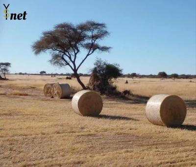 China Knitted Hay Bale Netting HDPE Silage Bale Net Anti Aging For Farmers for sale