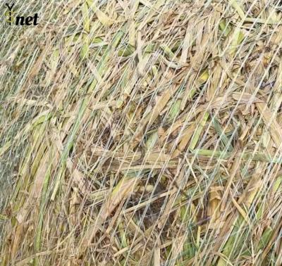 China 1.23x3000m Hay Bale Net Wrap Customized Net Wrap For Hay Baler for sale