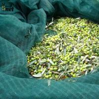 China 5x10m 6x12m Fruit Collecting Net 100gsm Apple Collecting Net for sale
