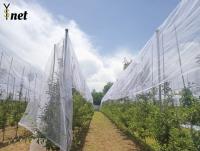 China Plastic Anti Hail Net White Hail Screen For Gardens And Fruits for sale