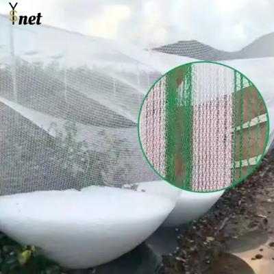 China Anti Aging Commercial Orchard Netting 40gsm 50gsm Garden Plant Netting for sale