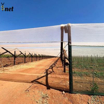 China White Anti Hail Net Customized Garden Windbreak Netting 30gsm - 90gsm for sale