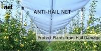 China HDPE Anti Hail Net Agricultural Anti Hail Mesh Customized Anti Bee for sale