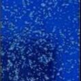 China Dazzling Blue Marble Effect Wall Tiles Bathroom Verde Green Marble Tile Metallic Texture  1200x2600mm for sale