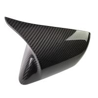 China Horn Carbon Fiber Rearview Mirror Cap for Ford Mustang Accessories GT350 GT Coupe Side Mirror Car Exterior Product Auto Parts for sale