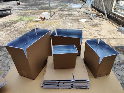 China Customizable Aluminium Foil Insulated Foam Cooler Box 1-2cm Thickness High Insulation for sale