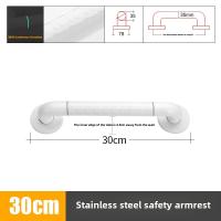 China Steel Non-Slip Bathroom Handrail with Straight Nylon Handle Elderly Accessible Barrier-Free Stair Rail for Hospitals and Homes for sale