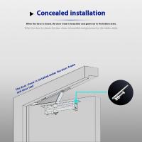China XF Aluminium Alloy Modern Concealed Door Closer Automatic Closing Device Invisible Hydraulic Buffer Hotel Wooden Doors Home for sale